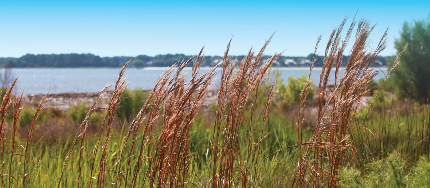 Contact Us in Savannah, GA | Bull River Marina